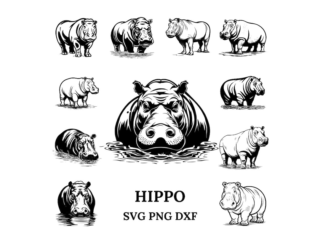 Hippo Svg Bundle , Hippo Svg , Cut Files for Cricut and Laser Engraving ...