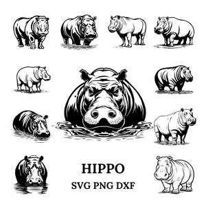 Hippo Svg Bundle , Hippo Svg , Cut Files for Cricut and Laser Engraving ...