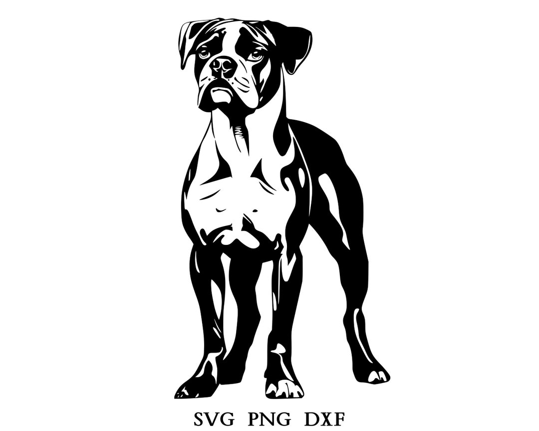 Boxer Svg, Boxer Clipart, Boxer Png, Boxer Head, Boxer Cut Files for ...