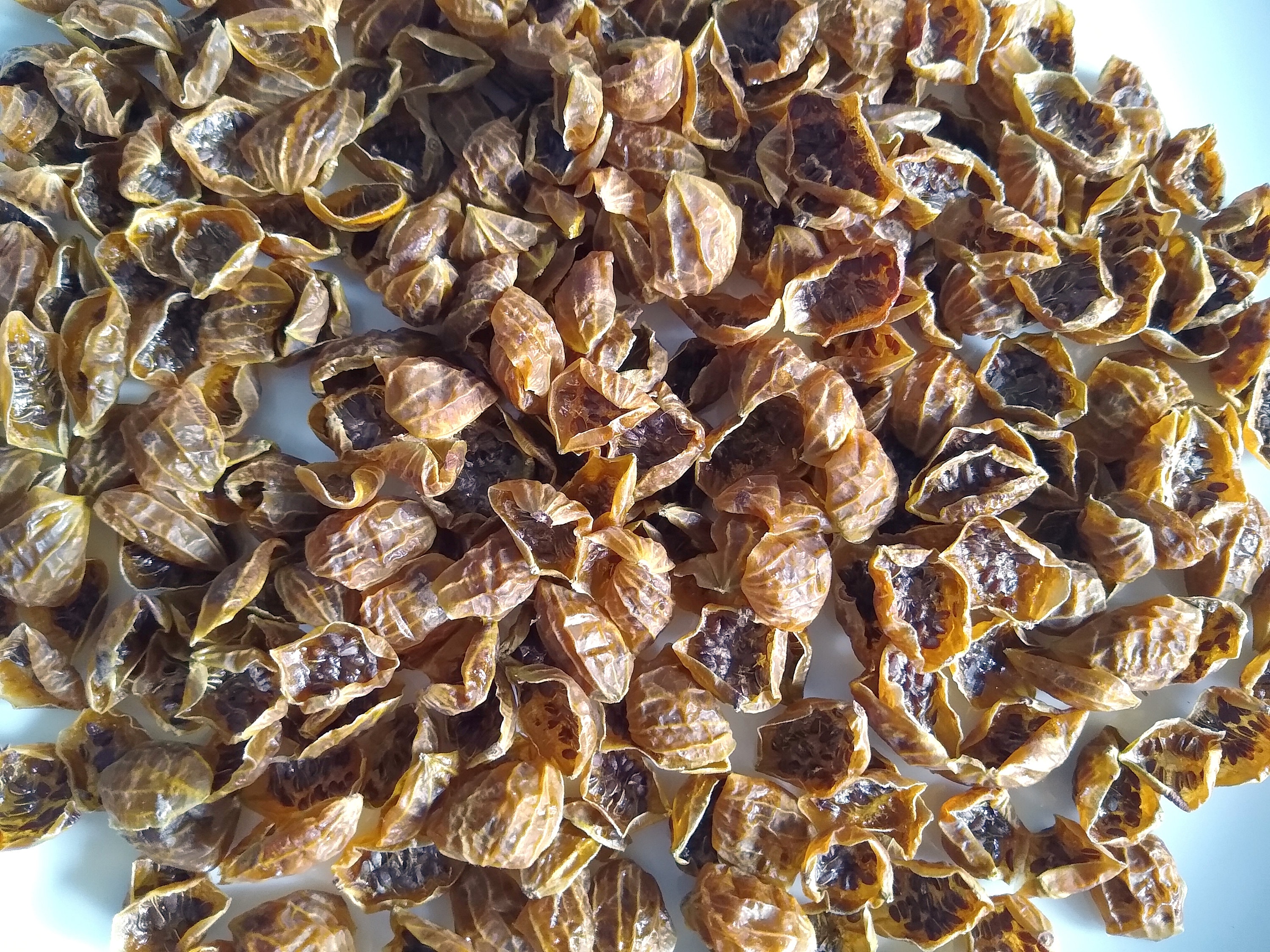 Dried Gooseberry - Superior Quality Super Food & Dried Natural Sweet ...