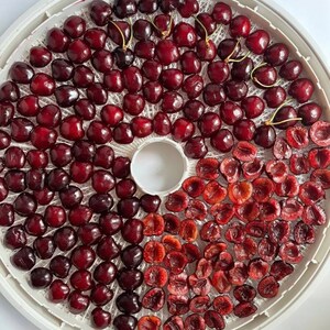 Dried Red Sweet Cherries - Superior Quality Super Food & Dried Natural ...