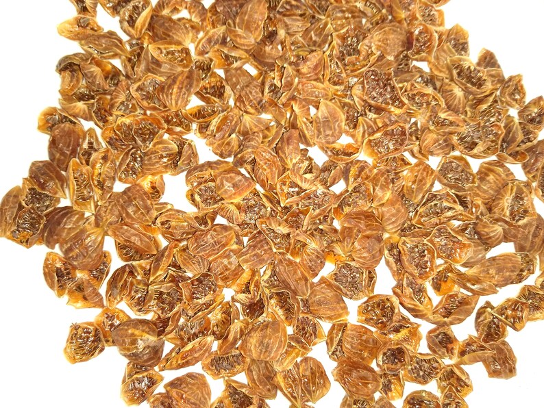 Dried Gooseberry - Superior Quality Super Food & Dried Natural Sweet ...