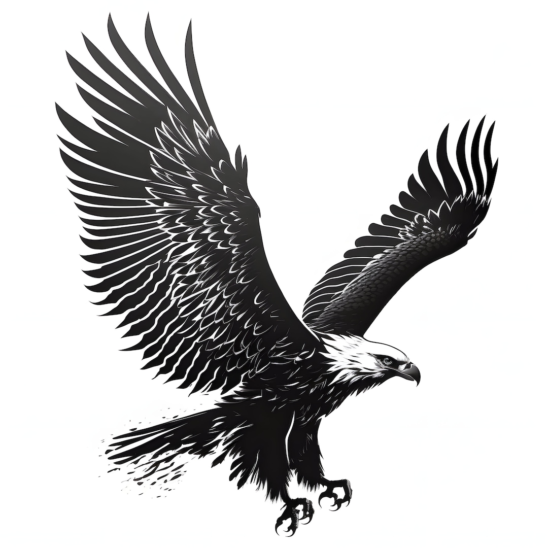 Eagle Vector Art - Etsy