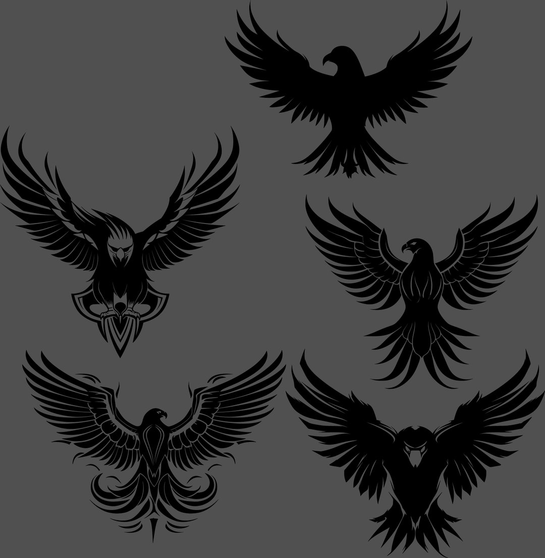 Bird Vector Pack - Etsy