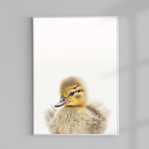 Nursery Decor Wall Art, Baby Duck, Printable Digital Download - Etsy