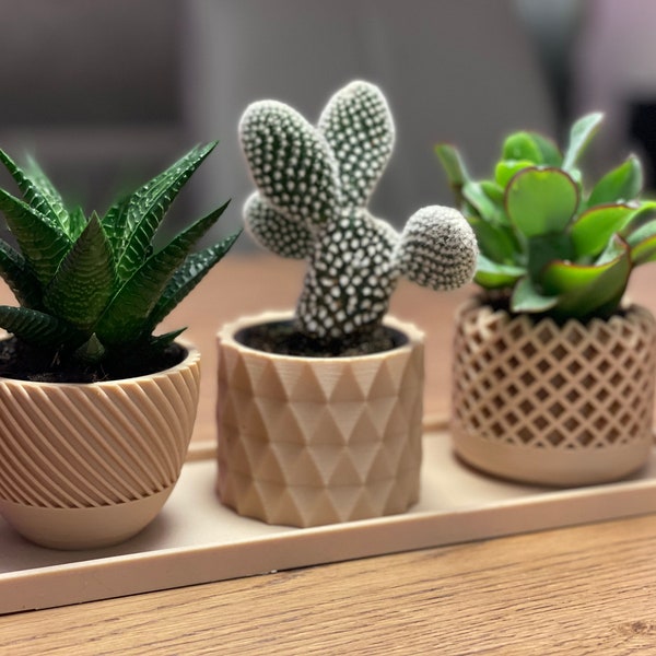 Stl files for 3d printing planter - Etsy México