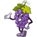 Grape Cartoon Mascot Illustration Design Character Vector - Etsy