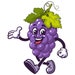 Walking Grape Cartoon Mascot Illustration Design Character Vector - Etsy