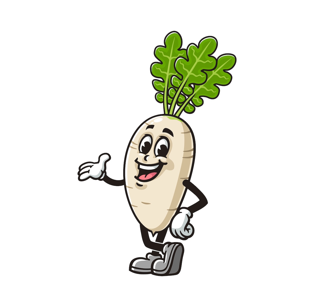 White Radish Cartoon Mascot Illustration Character Vector Clip-art Hand ...