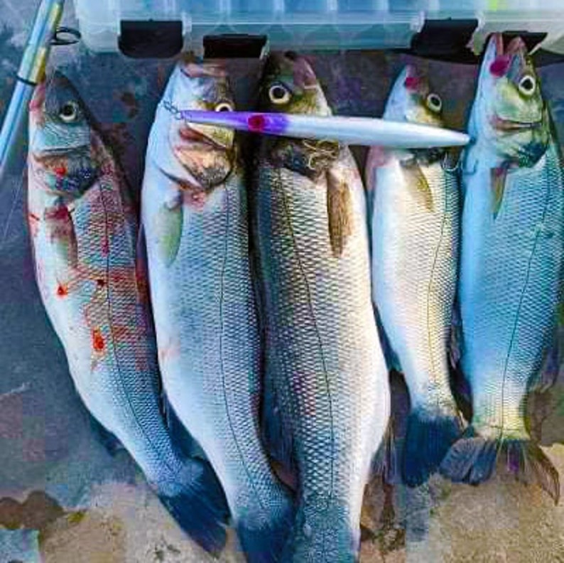 Handmade Barracuda Fishing Lure, Personalized Fishing Gifts for Men ...