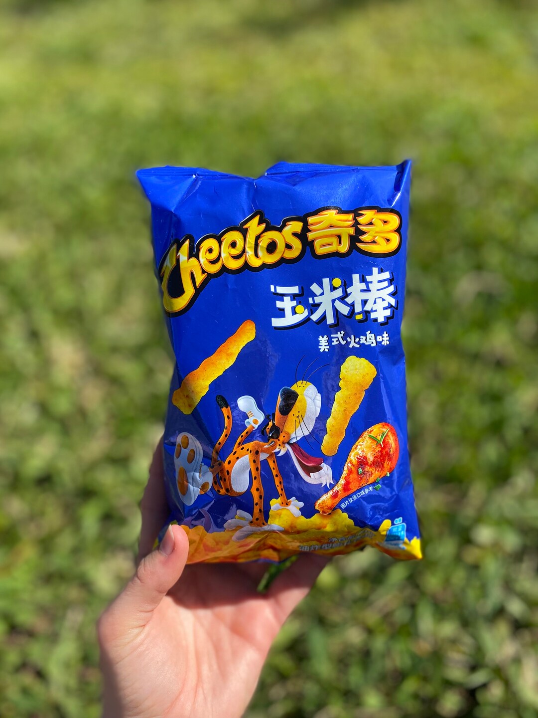 Cheetos American Roasted Turkey - Etsy