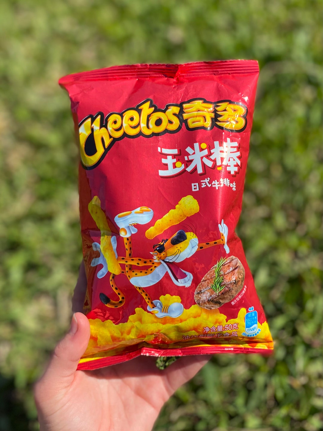 Cheetos Steak Flavor - Etsy