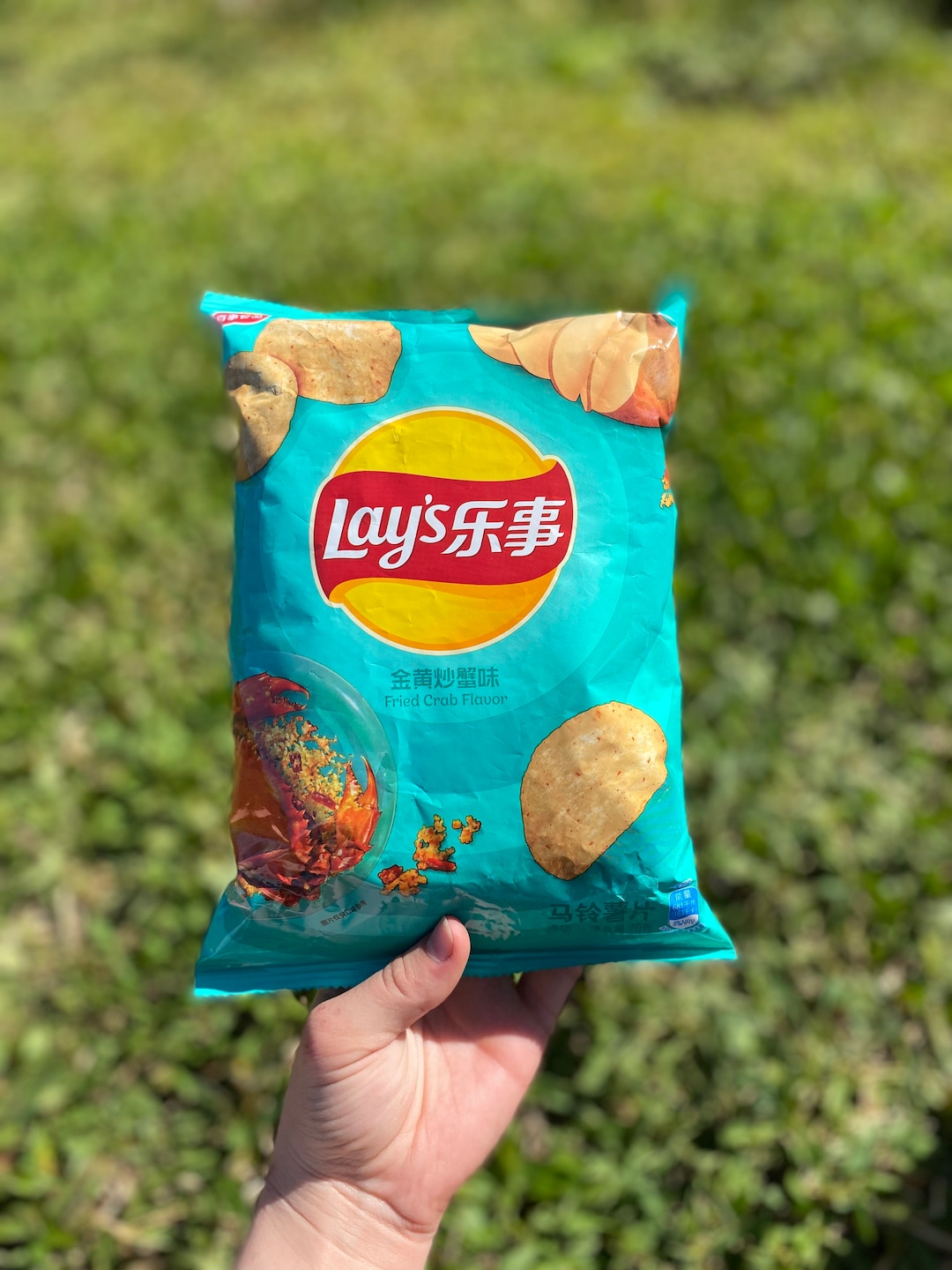 Lays Fried Crab Flavor - Etsy