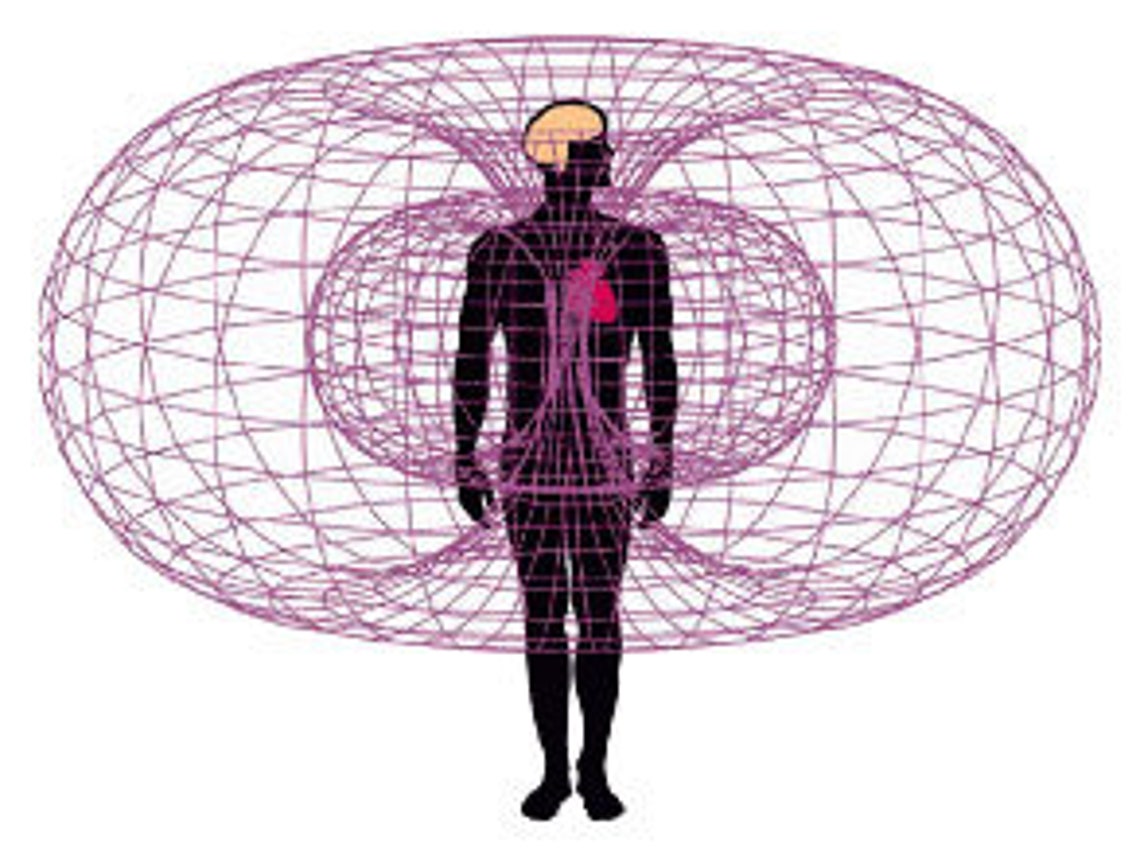 Matrix Tesseract Disc Aura Disc Energy Plate Bioresonance Plate Disc ...