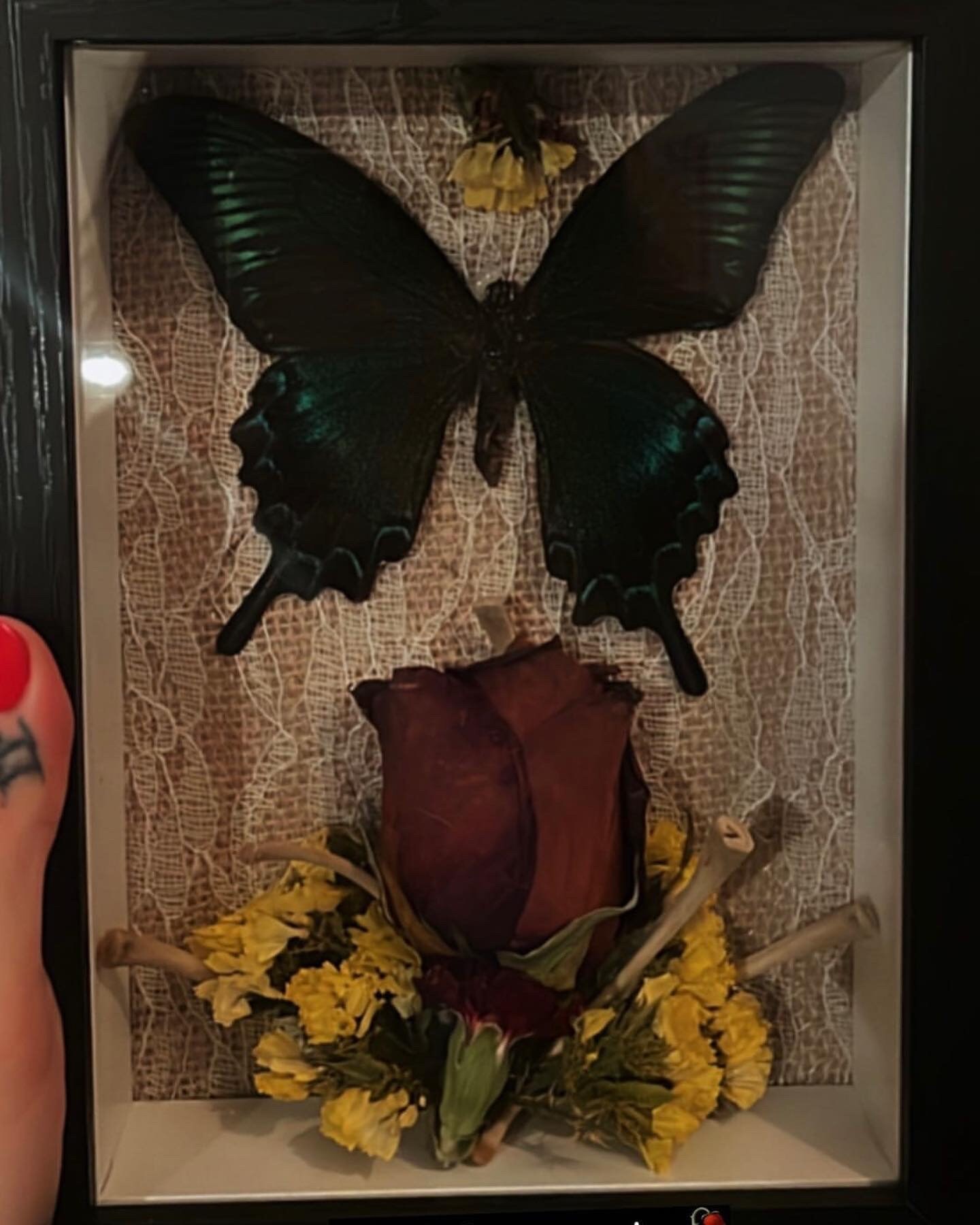 Rib Cage Bouquet Butterfly Box - Etsy