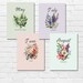 Birth Month Flowers Digital Set of 12 Instant Download Prints, Decor ...