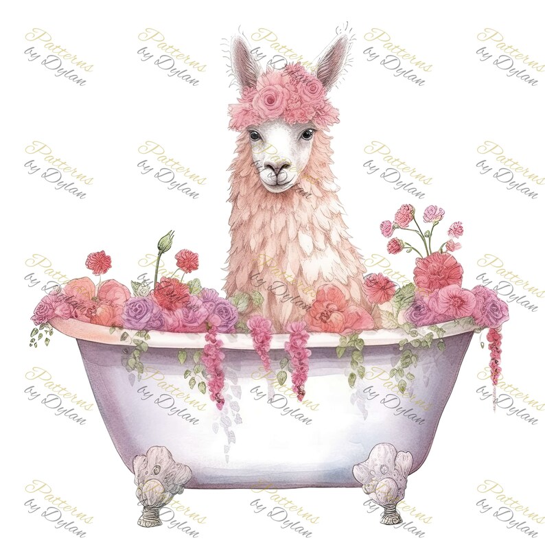 Cute Llamas in Bath Tubs Hand Drawn Illustrations Bundle Set - Etsy