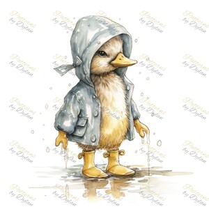 Baby Ducklings in Rain Gear Hand Drawn Illustrations Bundle, Set of 12 ...