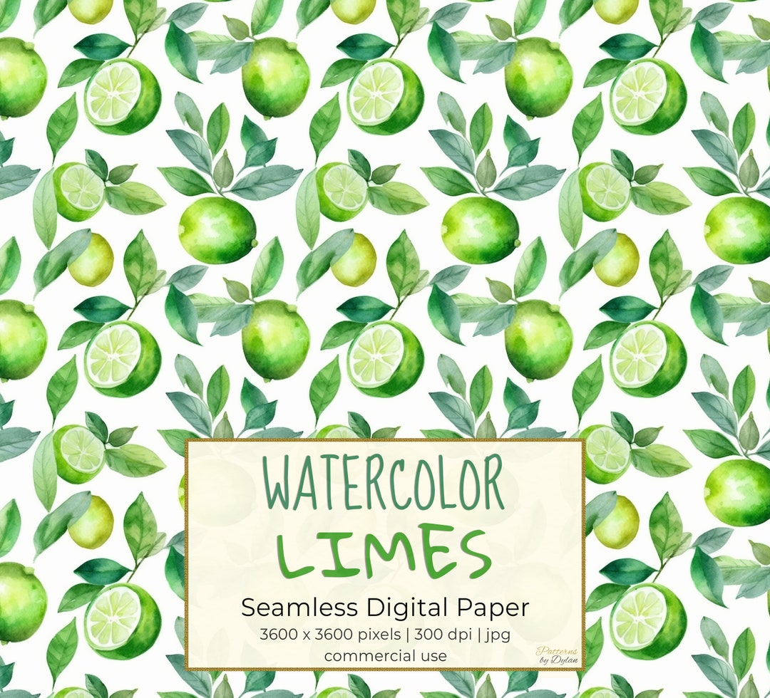 WATERCOLOR LIMES Digital Paper, Watercolor Citrus Fruit Seamless ...