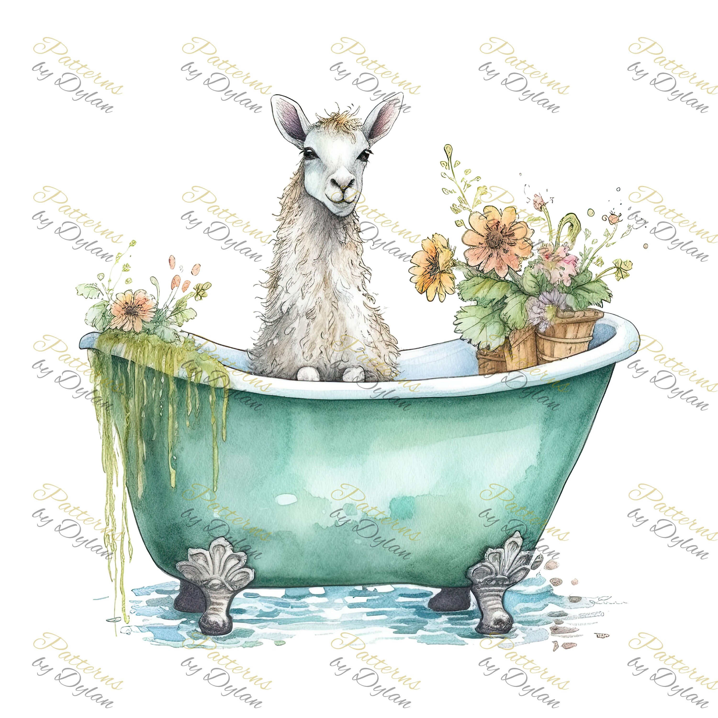 Cute Llamas in Bath Tubs Hand Drawn Illustrations Bundle Set - Etsy