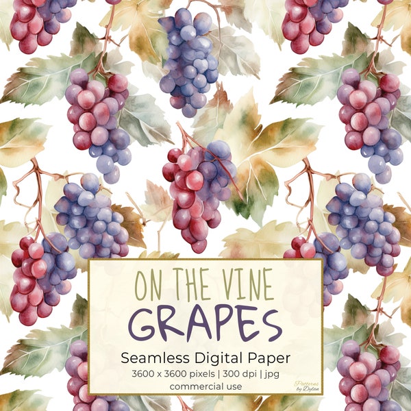 Grapes Wallpaper - Etsy