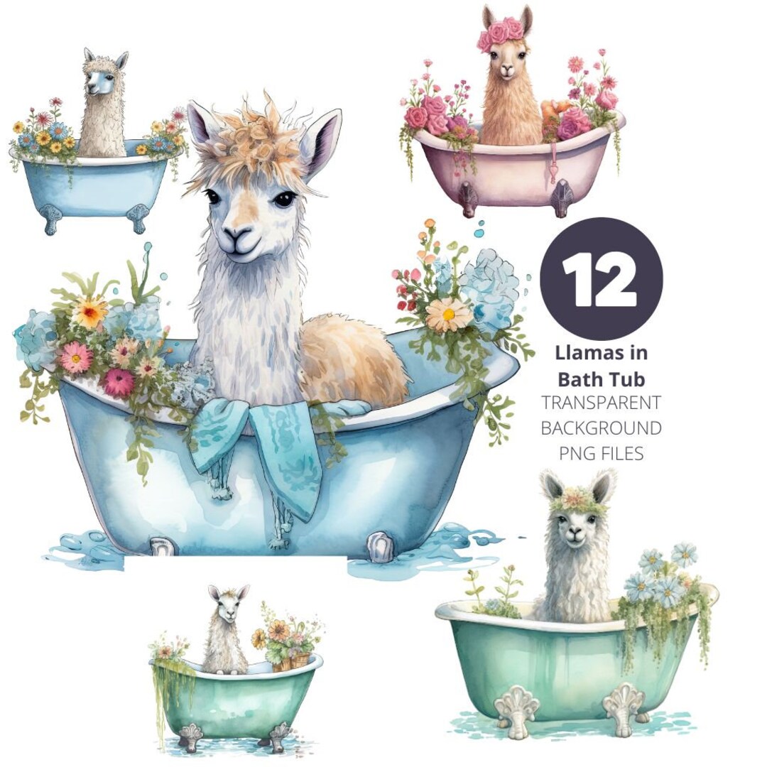 Cute Llamas in Bath Tubs Hand Drawn Illustrations Bundle, Set of 12 ...