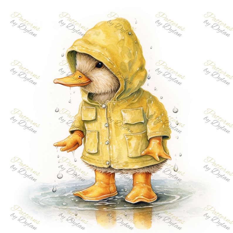 Baby Ducklings in Rain Gear Hand Drawn Illustrations Bundle, Set of 12 ...