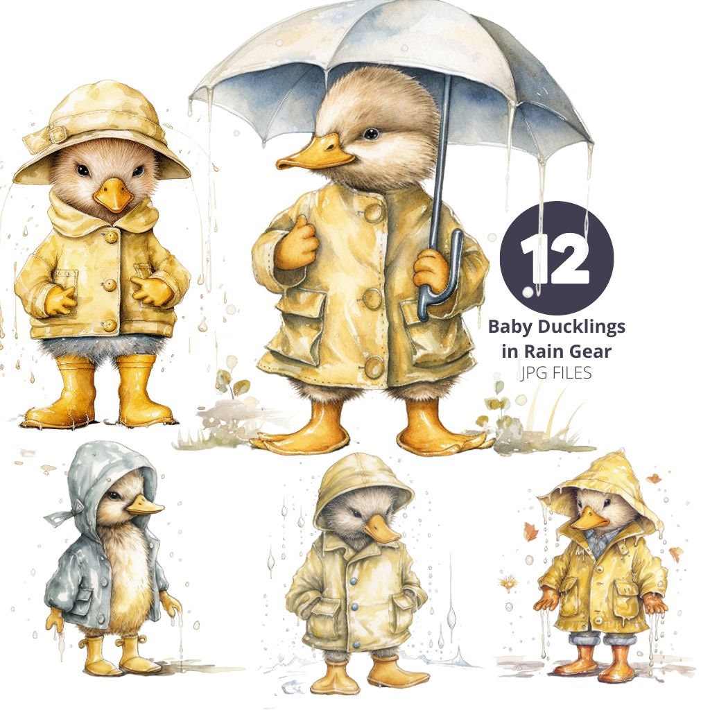 Baby Ducklings in Rain Gear Hand Drawn Illustrations Bundle, Set of 12 ...