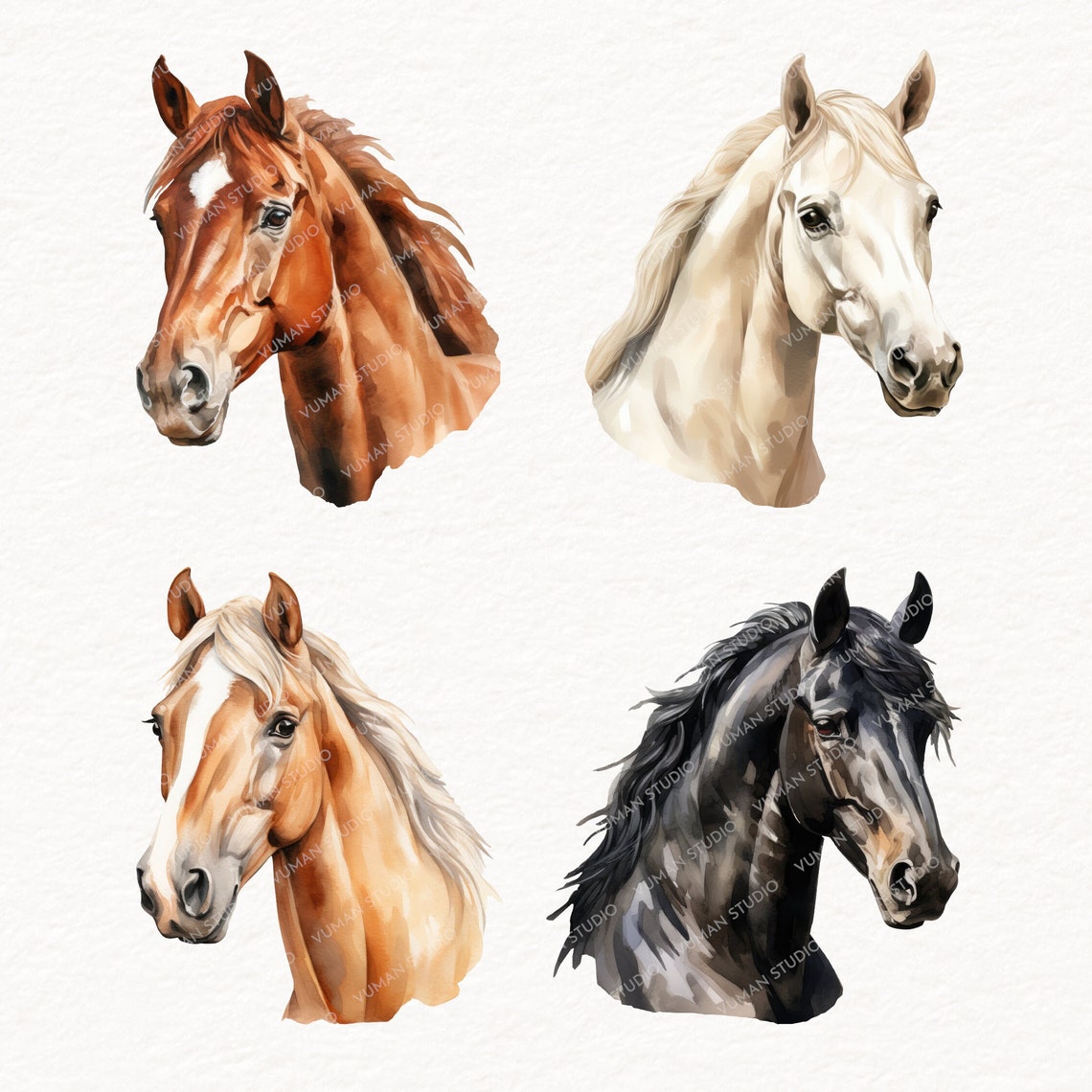 Horse Watercolor Clipart Set Horse PNG Animal Illustation Free ...