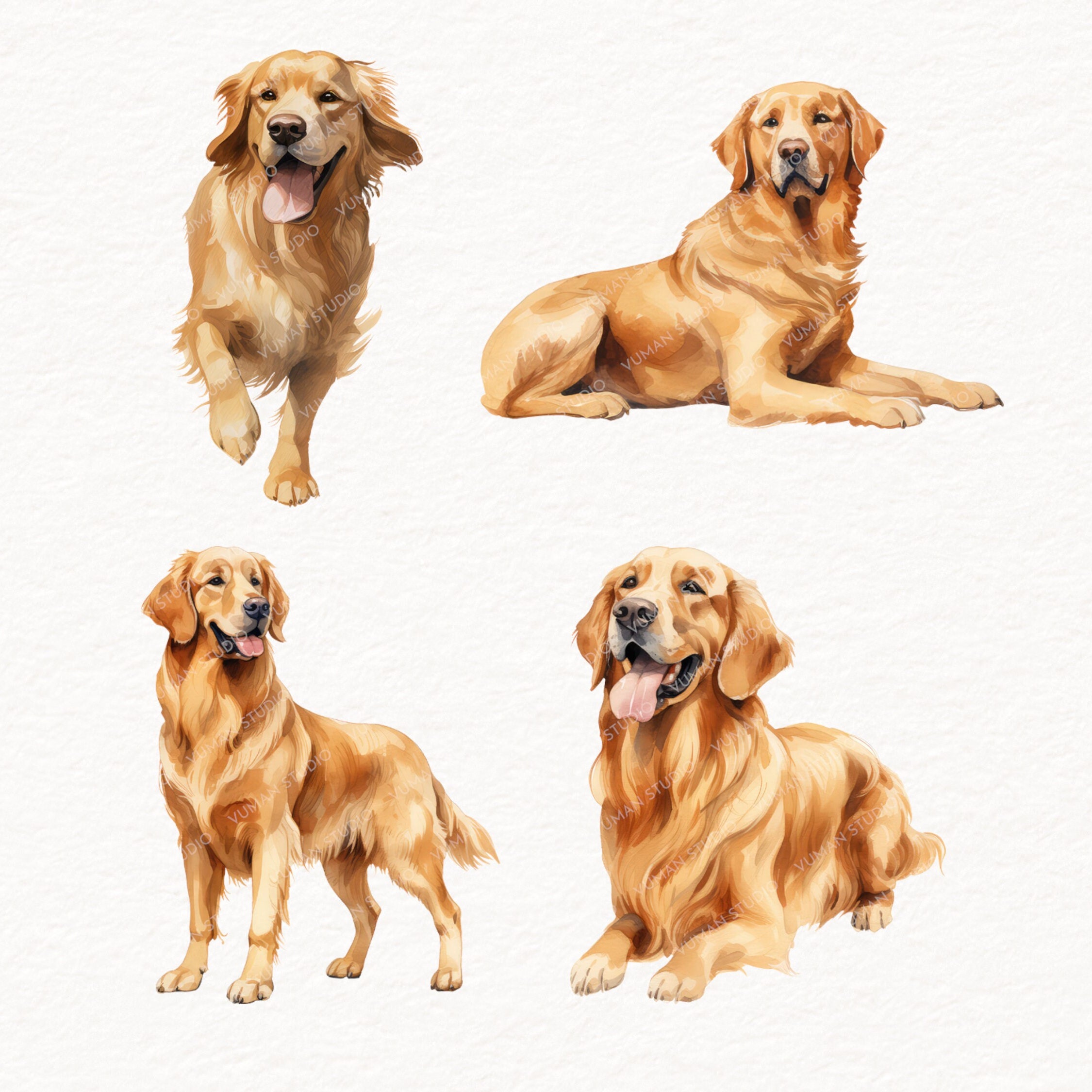 Golden Retriever Dog | Watercolor Clipart Set | Dog PNG | Animal ...