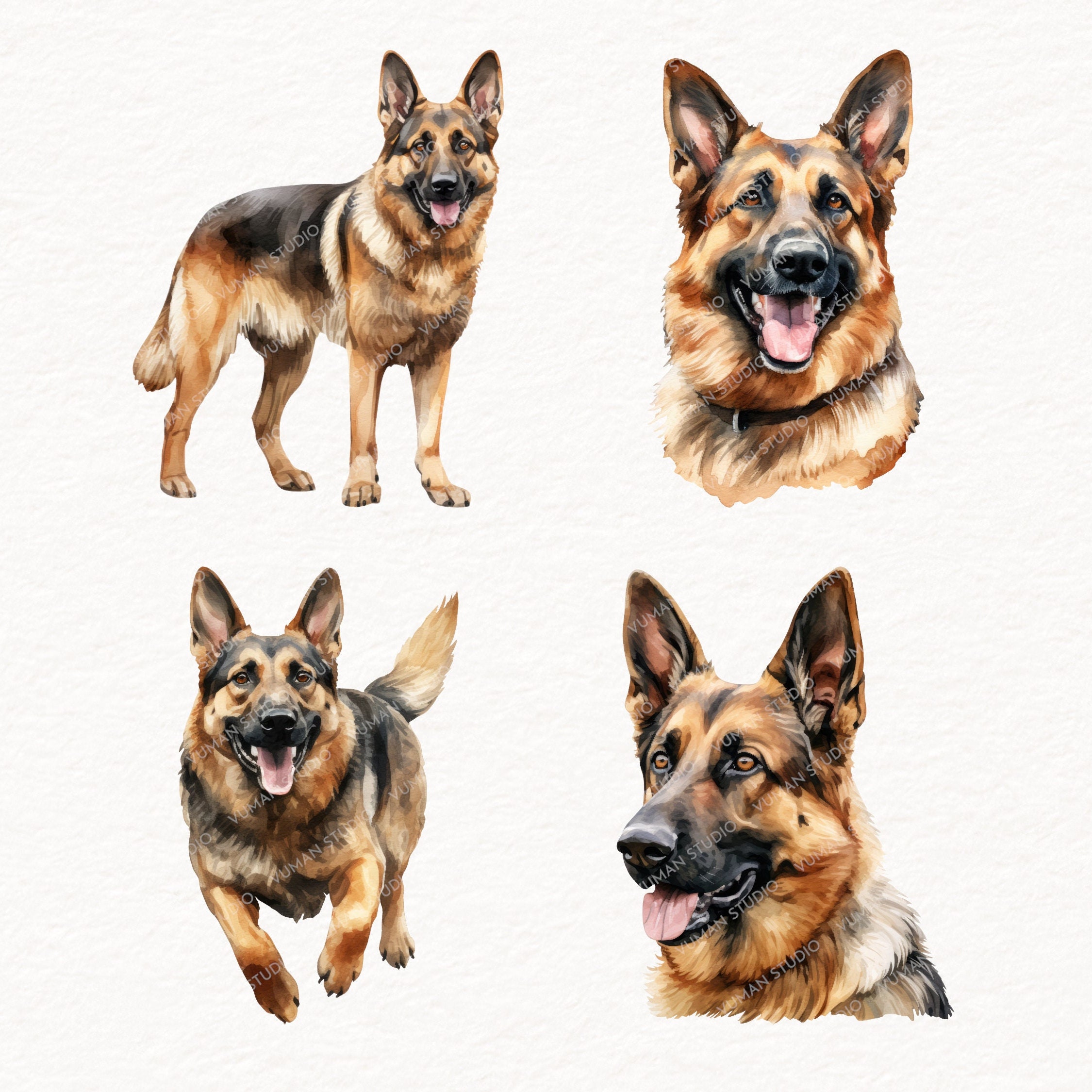 German Shepherd Dog Watercolor Clipart Set Dog PNG Animal Illustation ...