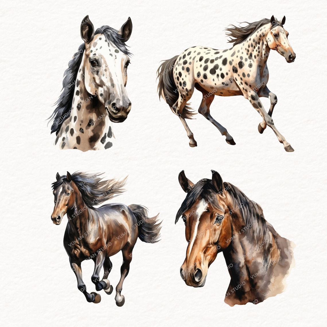Horse Watercolor Clipart Set Horse PNG Animal Illustation Free ...