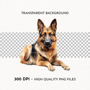 German Shepherd Dog | Watercolor Clipart Set | Dog PNG | Animal ...