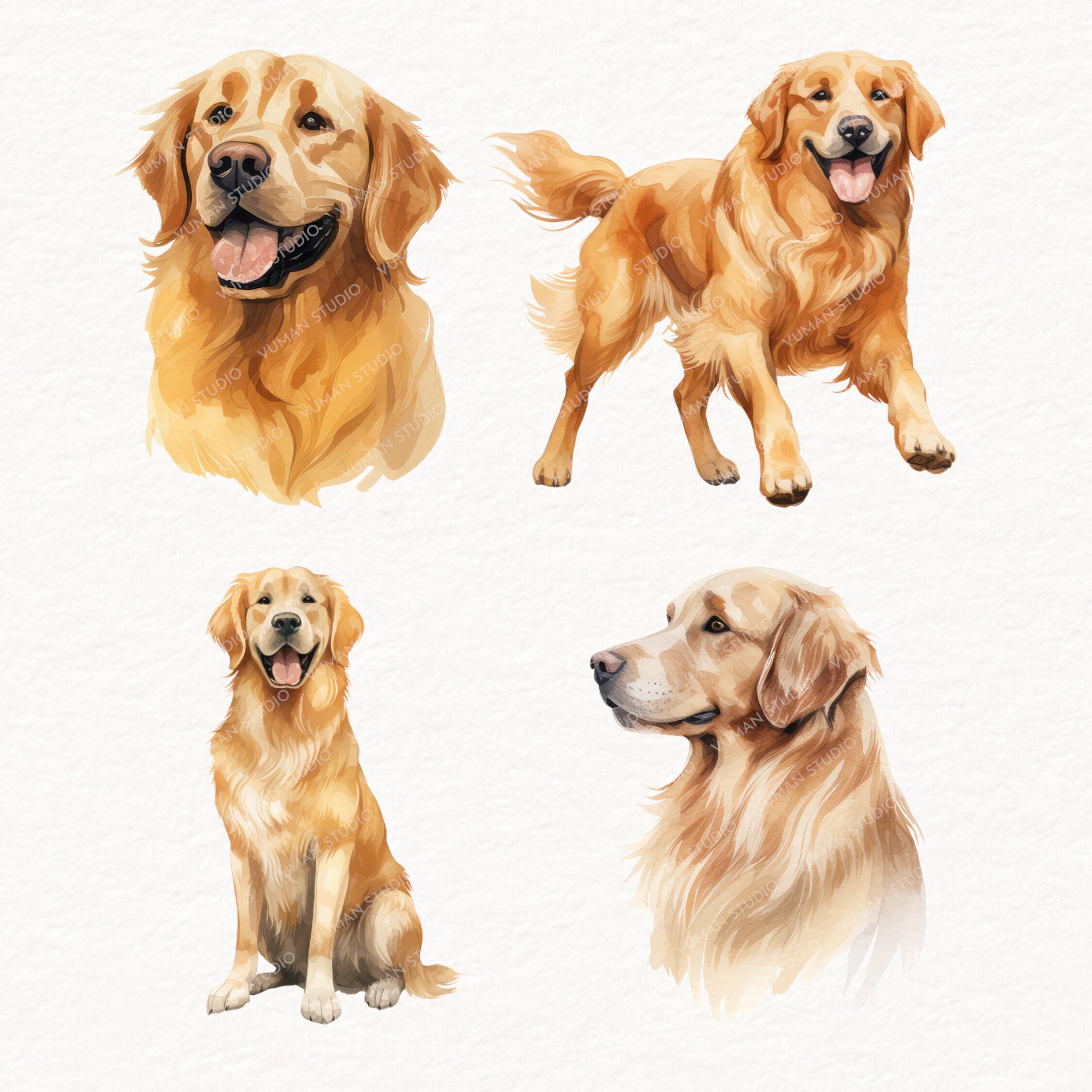Golden Retriever Dog | Watercolor Clipart Set | Dog PNG | Animal ...