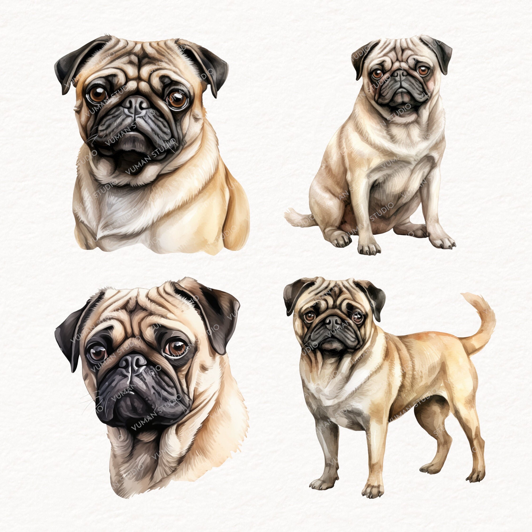 Pug Dog | Watercolor Clipart Set | Dog PNG | Animal Illustation | Free ...