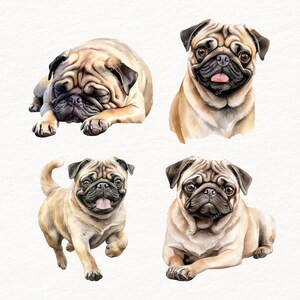 Pug Dog | Watercolor Clipart Set | Dog PNG | Animal Illustation | Free ...