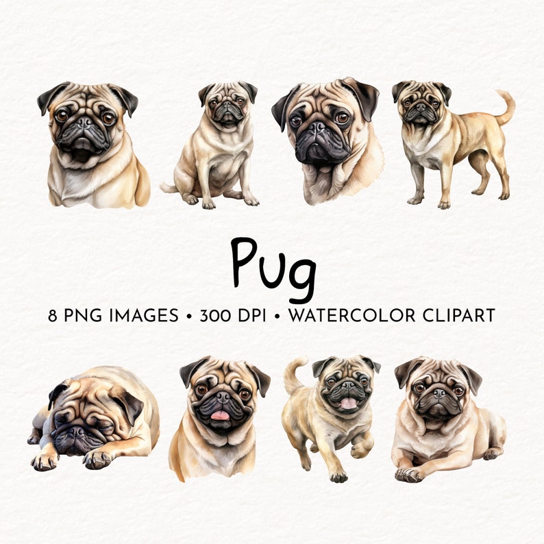 Pug Dog | Watercolor Clipart Set | Dog PNG | Animal Illustation | Free ...