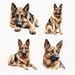 German Shepherd Dog | Watercolor Clipart Set | Dog PNG | Animal ...