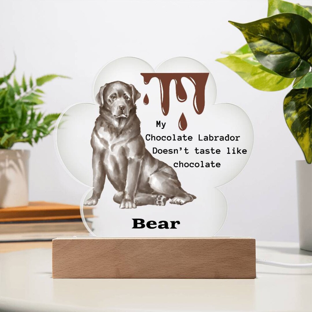 Chocolate Labrador Acrylic Paw Print Plaque Labrador - Etsy