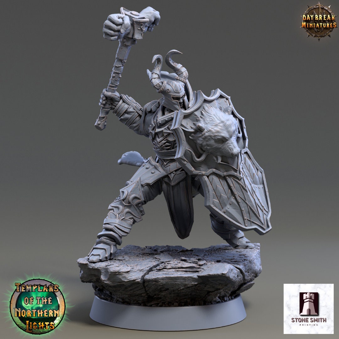 Egil Russo Human Paladin Templar, Templars of the Northern Lights ...