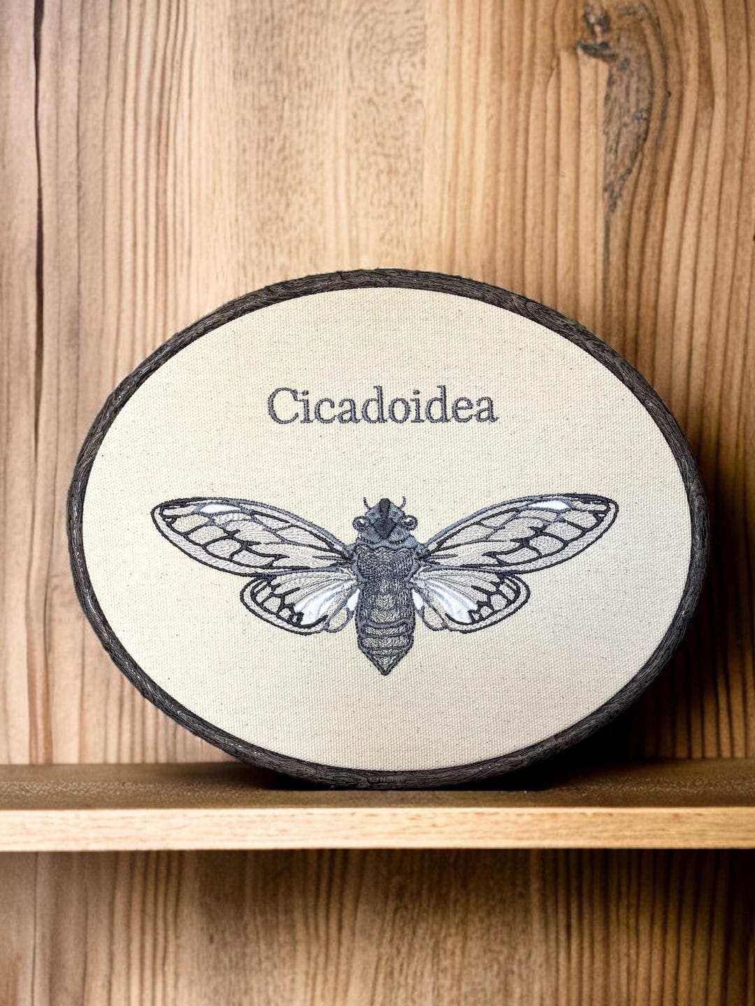 Cicada Grey Finished Embroidered Hoop Wall Decor, Insects Embroidery ...