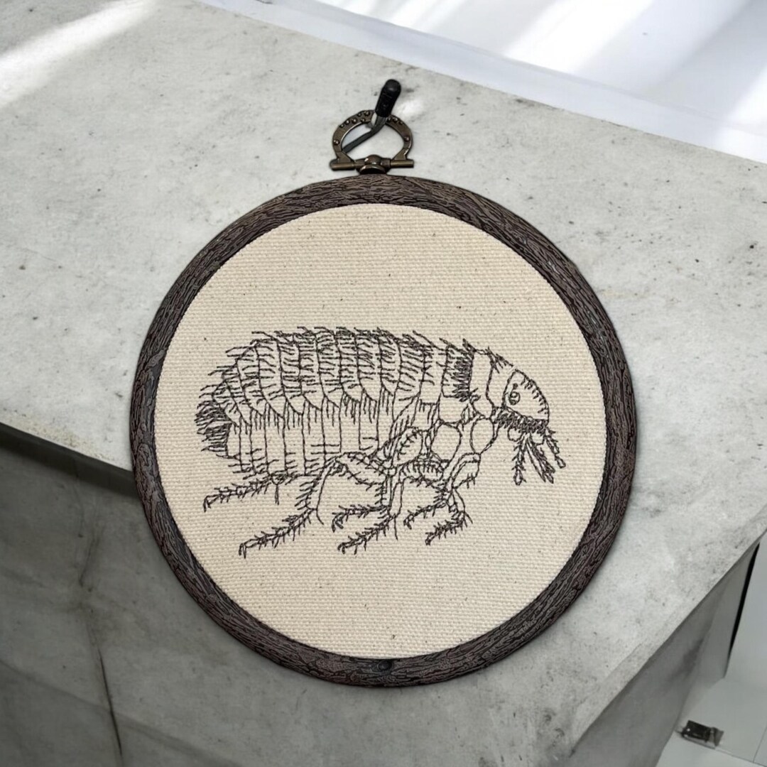 Flea Sketch Insect Embroidered Hoop Wall Hanging, Embroidered Wall Art ...
