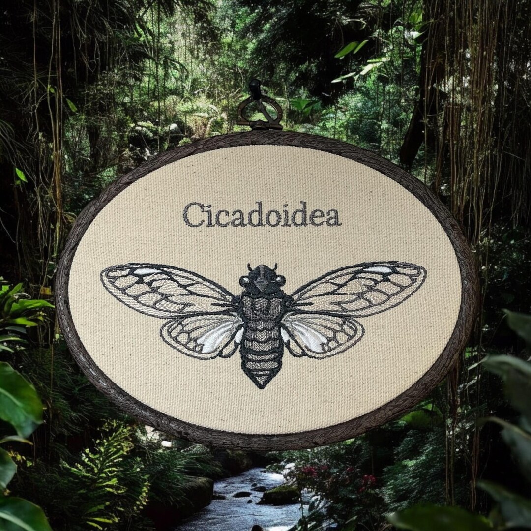 Scientific Cicada Insect Finished Embroidered Hoop Wall Hanging ...