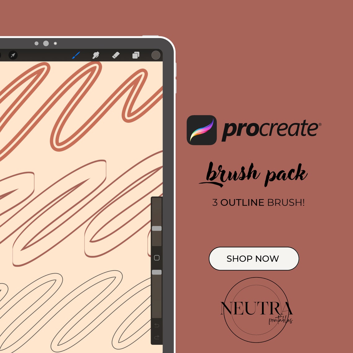 Outline Line Brushes for Procreate-outline Caligraphy Brush Brushset - Etsy