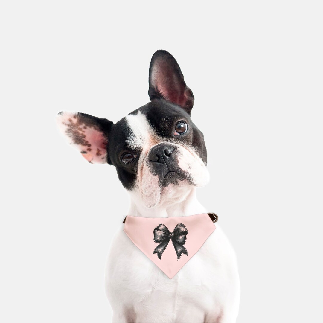 Coquette Aesthetic Pink Bow Collar Pet Bandana Stylish and Adjustable ...