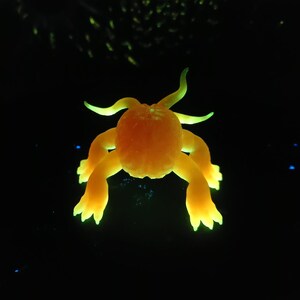 D&D Baldur's Gate 3 Intellect Devourer 'us' - 3D Resin Printed ...