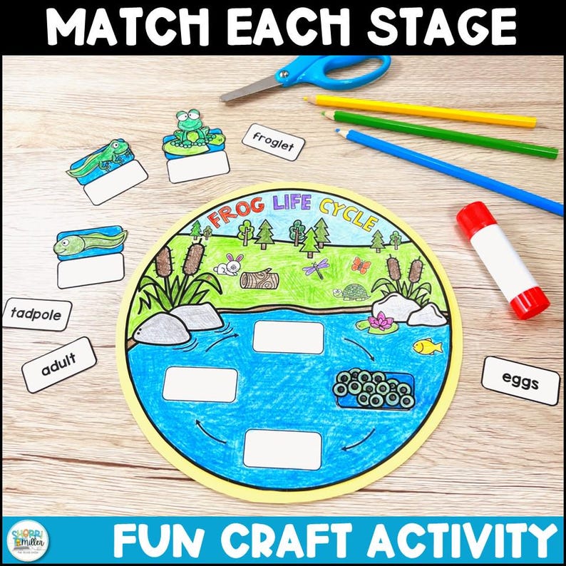 Frog Life Cycle Craft, Frog Coloring Pages Craft, 2nd Grade and 3rd ...