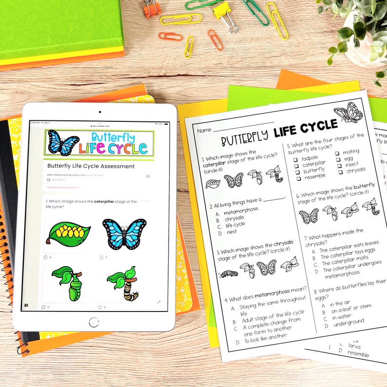Life Cycle of a Butterfly Test, Vocabulary and Stages, 2nd & 3rd Grade ...