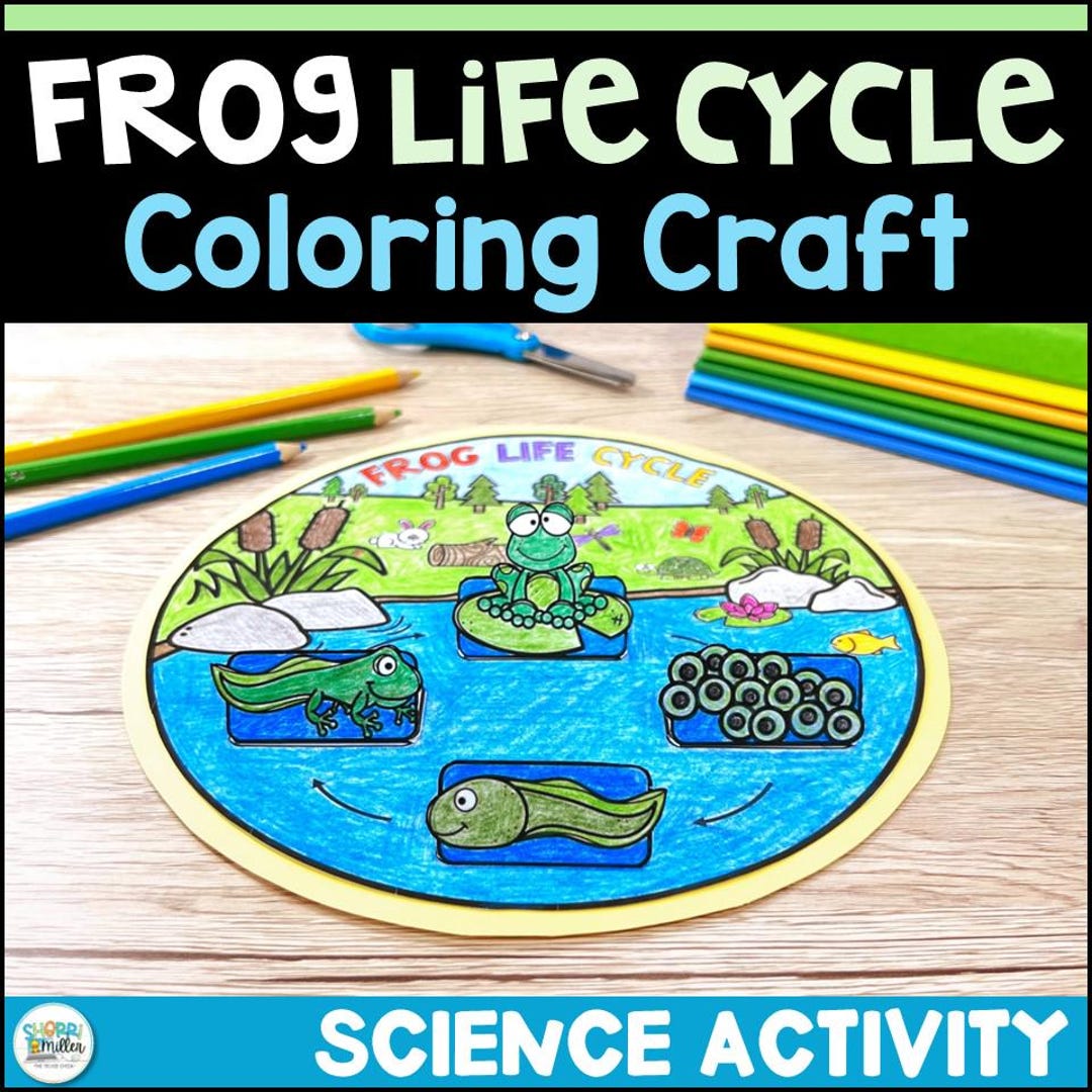 Frog Life Cycle Craft, Frog Coloring Pages Craft, 2nd Grade and 3rd ...