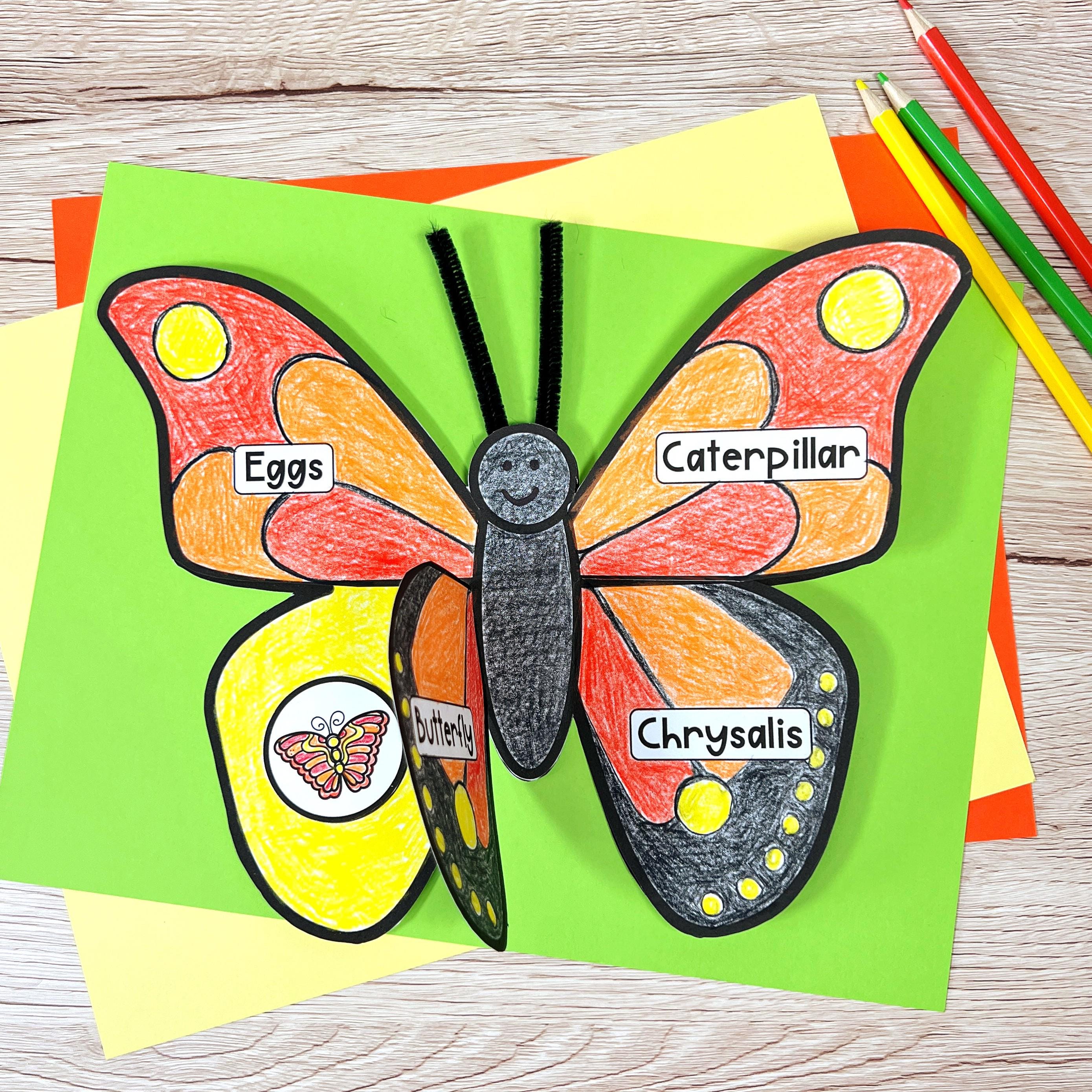 Butterfly Life Cycle Craft, Life Cycle of a Butterfly Writing , 2nd ...